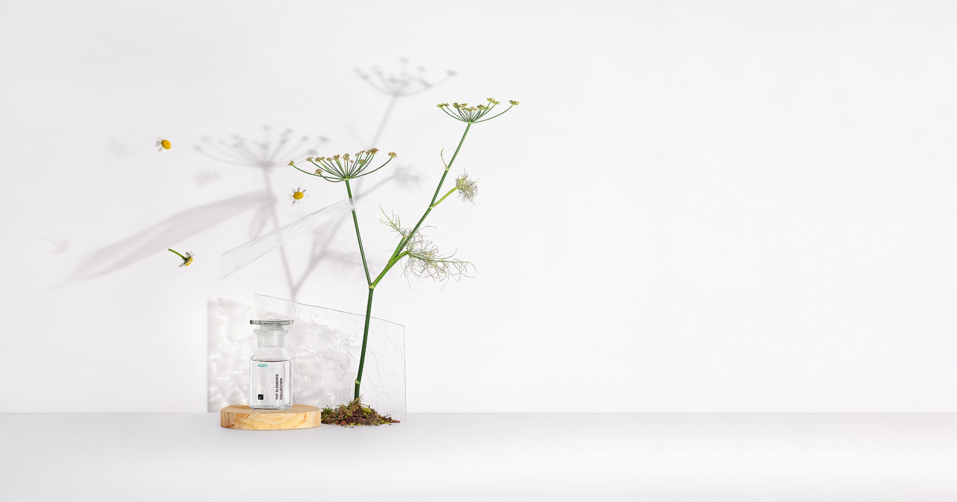 Kao Chemicals, Chemical division of Kao Corporation. | Kao Chemicals EU