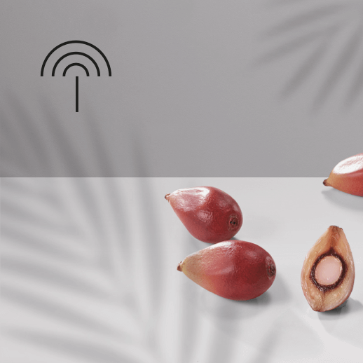 Kao Chemicals, Chemical division of Kao Corporation. | Kao Chemicals EU