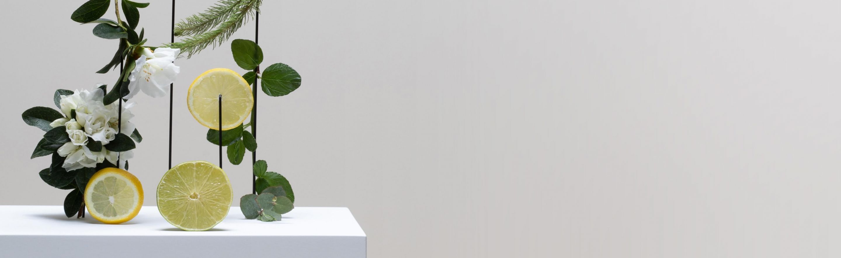 Fragrances Chemicals Solutions | Kao Chemicals EU